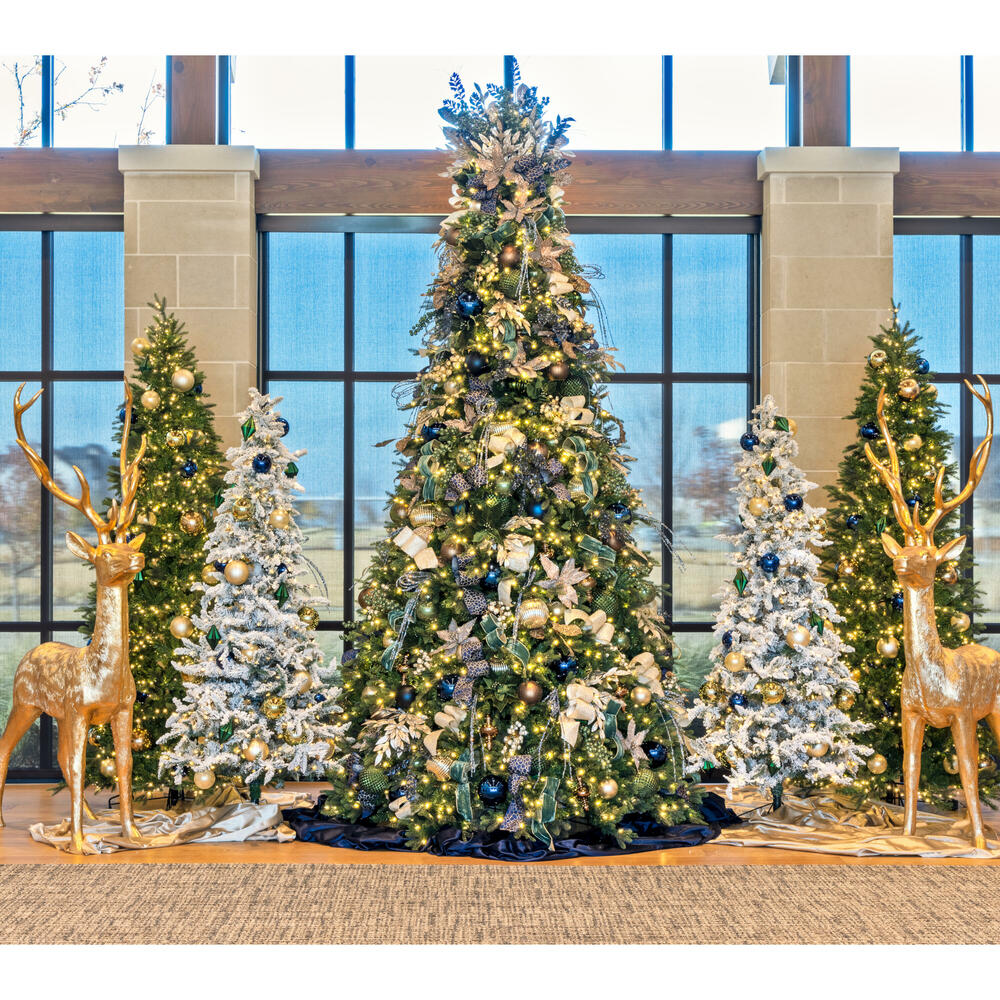 The Fields - Frisco Clubhouse Design | Vickerman